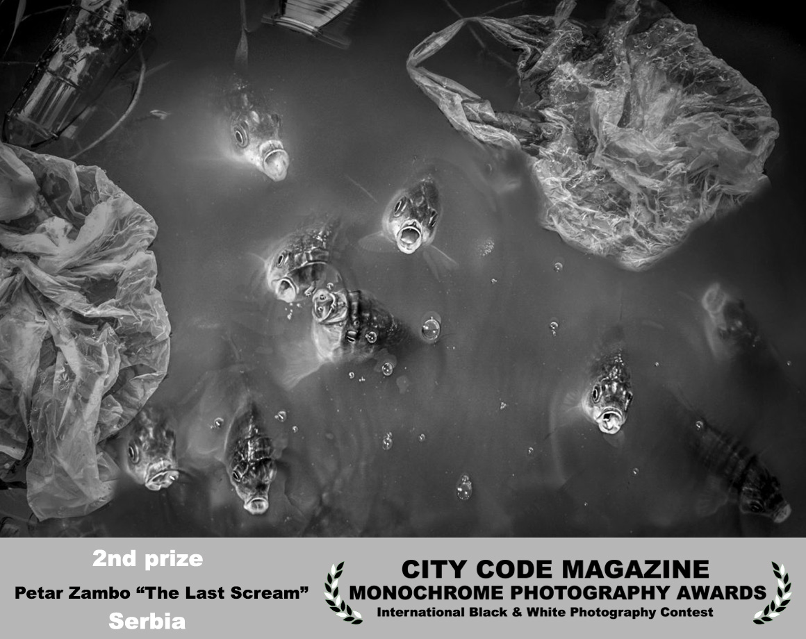 lastscream-city-code-magazine